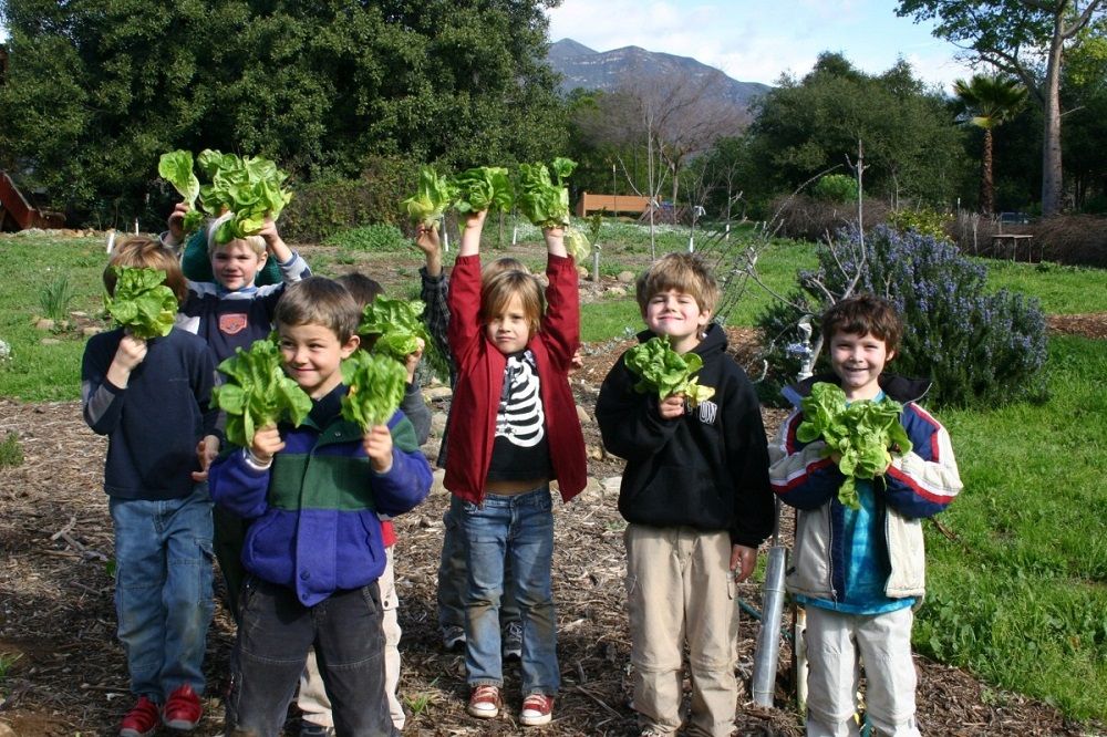 School Garden Programs 'Sprouting Up' in Toronto and All Across the ...